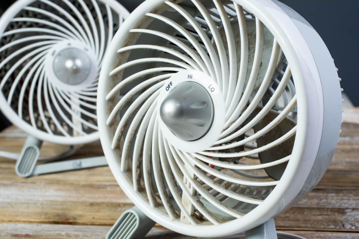 5 Eco-Friendly Ways to Cool Your Apartment | Apartments.com